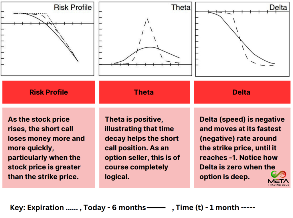 Option Trading Strategies: (4) Basic Strategies [2024]